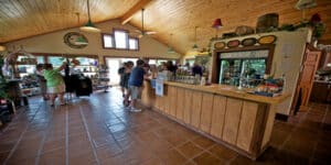 Put-in-Bay Winery | Over 15 Great Wines Fun Tours & Tastings